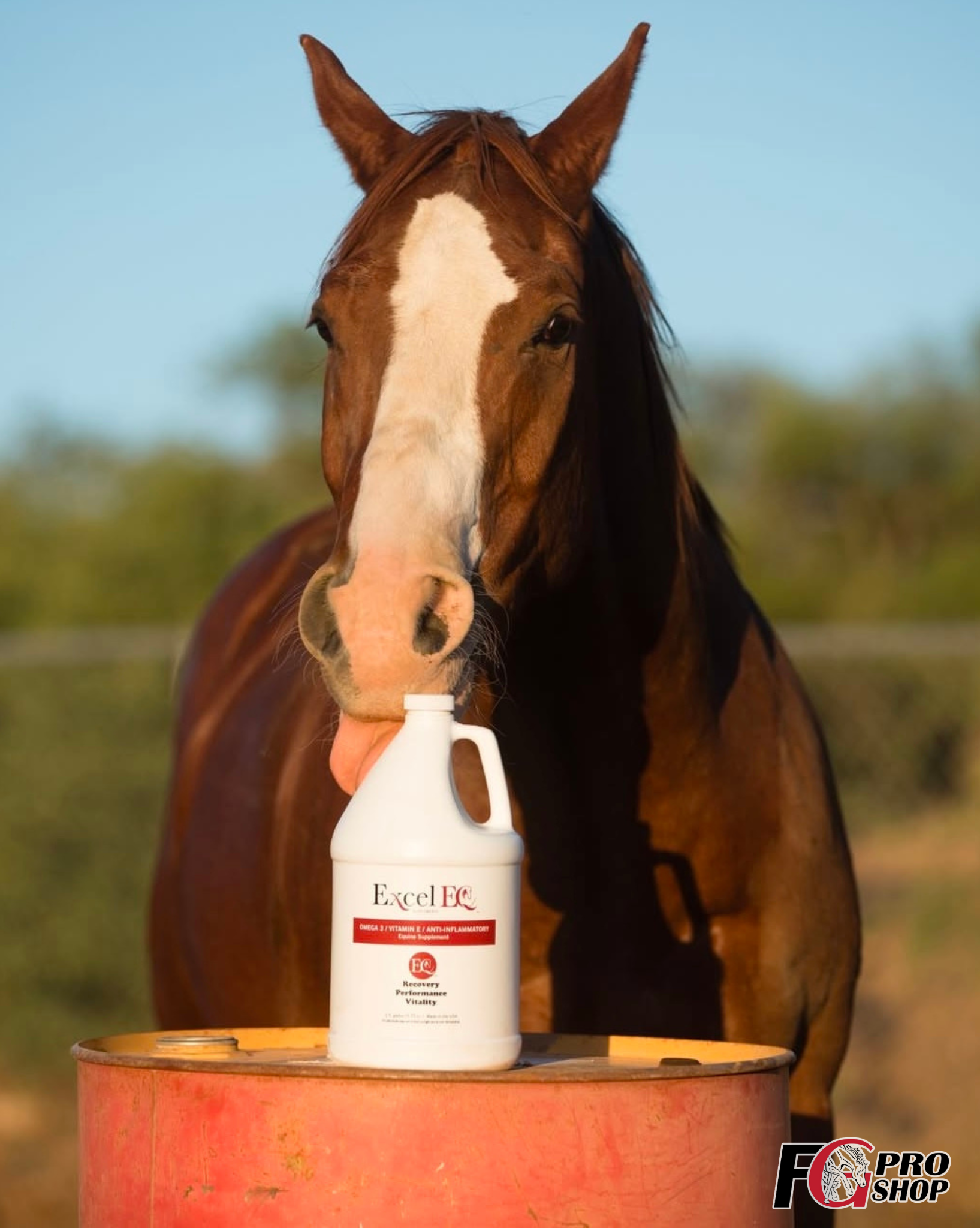 Breakaway Bag - Raspberry – FG Pro Shop Inc.