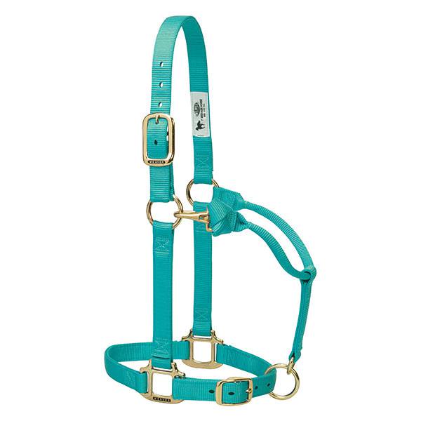 Licou Original Ajustable Couleurs Unies - Cheval – FG Pro Shop Inc.