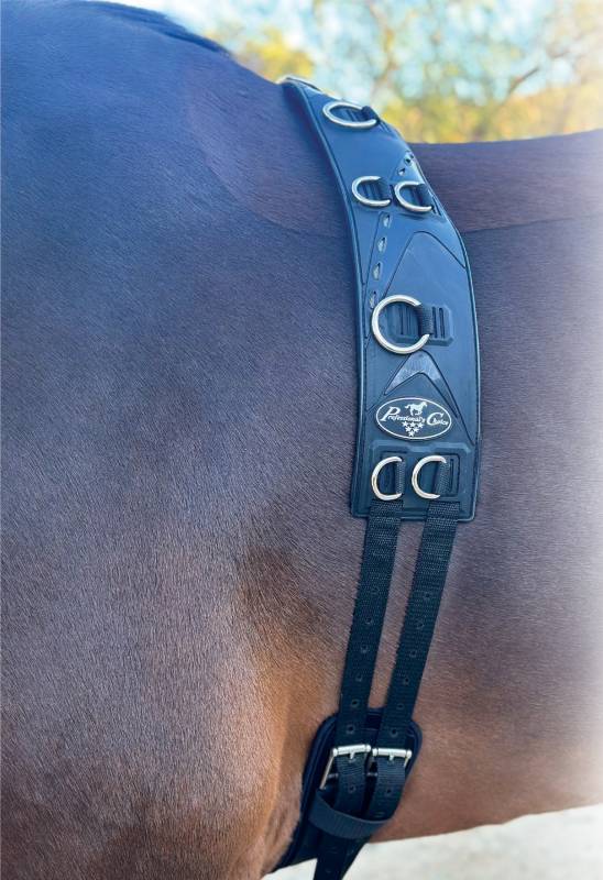 Surcingle with Neoprene Girth – FG Pro Shop Inc.